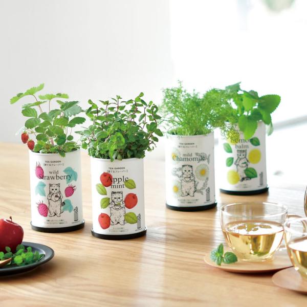 サイズ:高さ10.3cm、直径7cmセット内容:ペーパーポット/インナーポット/培養土/種/説明書（JPN・ENG）備考:種は多めに入っています。まきすぎに注意してください。水の与えすぎに注意してください。栽培環境により、生長具合や栽培結果...