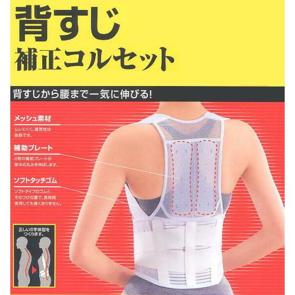在庫処分特価（※化粧箱に痛みが生じている場合がございますが、ご了承ください。）肩や腰の疲れを感じる方に…姿勢が悪くなると体に負担がかかり、肩こりや腰の痛みの原因になります。背筋補正コルセットは、背筋から腰までを伸ばして正しいS字体型を作りま...