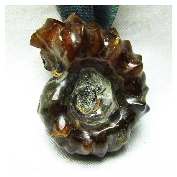 【アンモナイト】アンモナイトは、古生代シルル紀末期から中生代白亜紀末までに繁栄した頭足類の一種で、イカやたこの仲間に属します。ラテン語で神（ammon）の石(ite)を意味するアンモナイト。太古のロマンを秘め、コレクションに最適です。また、...