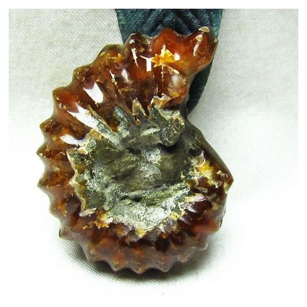 【アンモナイト】アンモナイトは、古生代シルル紀末期から中生代白亜紀末までに繁栄した頭足類の一種で、イカやたこの仲間に属します。ラテン語で神（ammon）の石(ite)を意味するアンモナイト。太古のロマンを秘め、コレクションに最適です。また、...