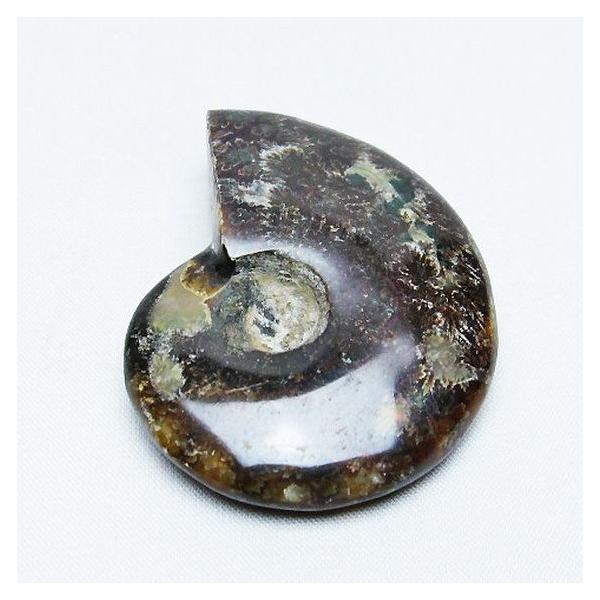 【アンモナイト】アンモナイトは、古生代シルル紀末期から中生代白亜紀末までに繁栄した頭足類の一種で、イカやたこの仲間に属します。ラテン語で神（ammon）の石(ite)を意味するアンモナイト。太古のロマンを秘め、コレクションに最適です。また、...