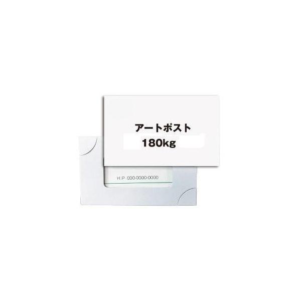 ●枚数：表面フルカラー/裏面モノクロ１００枚●サイズ（名刺）：５５ｘ９１mm（限定サイズ）●印刷用紙：アートポスト180kg（四六判換算連量）　　　　　　光沢感があり、写真等の表現力に優れた用紙です。ポストカードなど、厚物印刷に適しておりま...