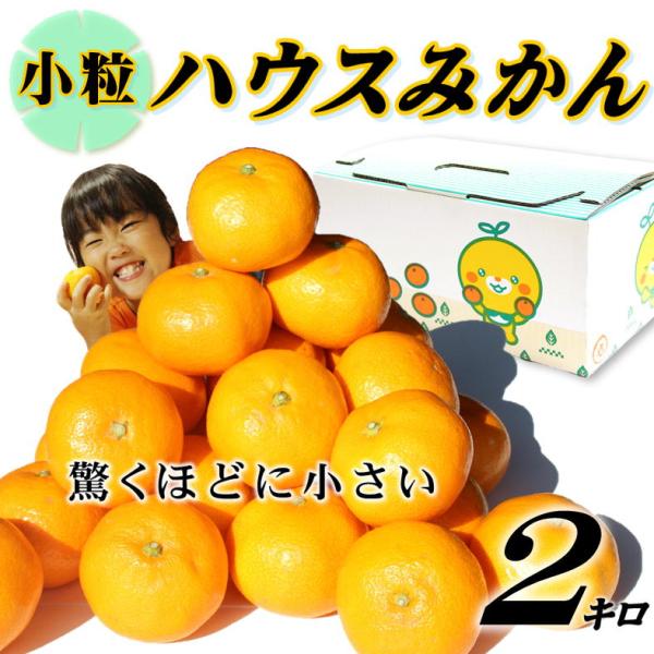 小粒でも味は一級品。夏もみかんが食べた〜い！そんな、みかん好きさん必見です★なんといってもサイズが特徴的で、ビックリするほど小さいです。この小ささが食べやすく、どんなシーンにも馴染んでくれる。おやつ・デザートにパクッ、小腹がすいたときにパク...