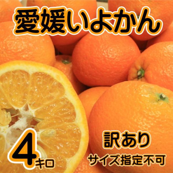 全国生産量No.1を誇るここ愛媛県よりせいぶ青果が販売する「愛媛いよかん」は非常に香りがよく、ジューシーでさっぱりとした甘みが特徴。 外皮を剥くと爽やかな香りが部屋中に広がり、香りだけでも幸せ気分は間違い無し！受験シーズンにぴったりで、ビタ...