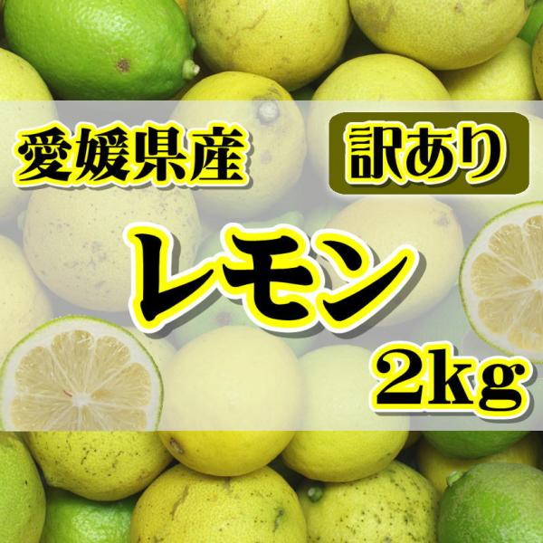 お待たせ致しました！！待望の格安【訳あり】愛媛県産レモンの販売を開始致しました！こちらの商品は愛媛県で栽培されたワックス・防腐剤不使用の国産レモンです。キズあり、サイズにバラつきありの為、訳ありでの販売ですが味に変わりはありません。ご家庭や...