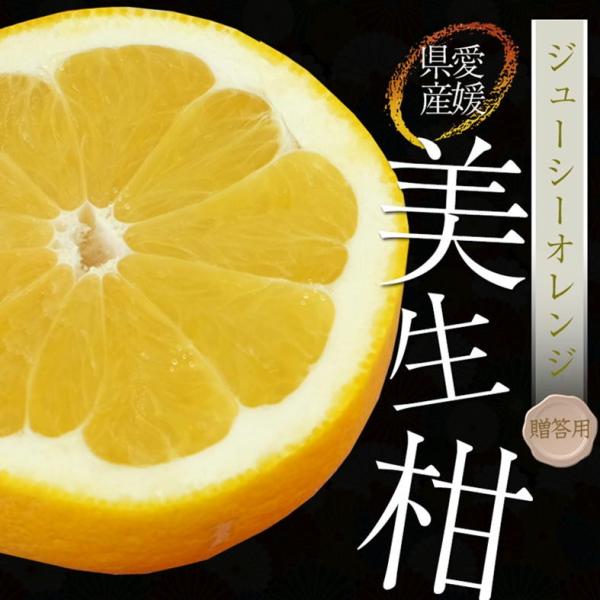 美生柑や河内晩柑、宇和ゴールド、愛南ゴールドなど様々な呼び名で知られている河内晩柑はここ愛媛県が生産量No.1!!文旦の血を引く偶発品種です。和製グレープフルーツとも呼ばれますが、グレープフルーツのような苦味は無く、酸味も強くない為お子様も...