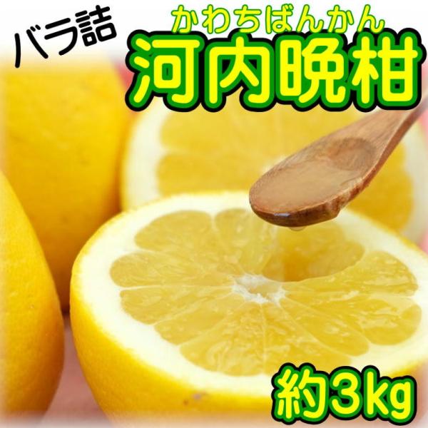 美生柑や宇和ゴールド、愛南ゴールドなど様々な呼び名で知られている河内晩柑はここ愛媛県が生産量No.1!!文旦の血を引く偶発品種です。和製グレープフルーツとも呼ばれますが、グレープフルーツのような苦味は無く、酸味も強くない為お子様もお召上がり...