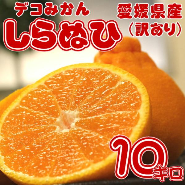 デコみかんやデコポンの愛称で親しまれている不知火(しらぬひ)の訳あり規格が登場です!!なんといってもヘタのある果棟部が盛り上がっているのが特徴です。強い甘味とほどよい酸味のバランス、ポンカン似た爽やかな香り手で剥いて食べられ、果肉はやわらか...