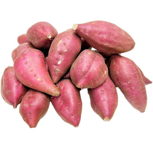 徳島県の温暖な気候と、吉野川の恵みがもたらした良質の砂地畑にて育てられています。徳島県の農産物を代表する「鳴門金時」これぞ昔ながらのさつま芋!!という風味で食べ応えがありホクホクでおやつにも最適です。品名：なると金時原産地：徳島県産内容量：...