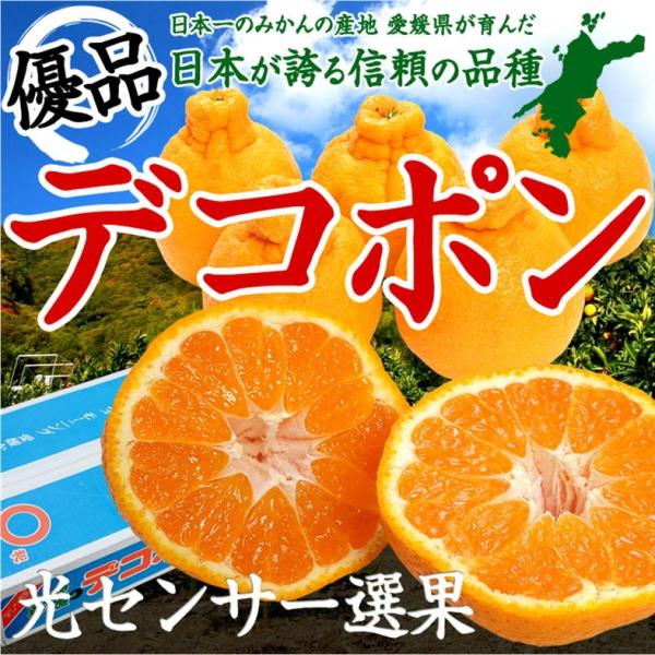 爽やかな香りに糖度12度以上の強い甘みと 程よい酸味が人気の秘密果肉は柔らかくジューシーで手で剥いて食べられるので食べやすい清美とポンカンの交配により誕生光センサー選果で安心品質が「デコポン」の魅力なんといってもヘタのある果棟部が盛り上がっ...
