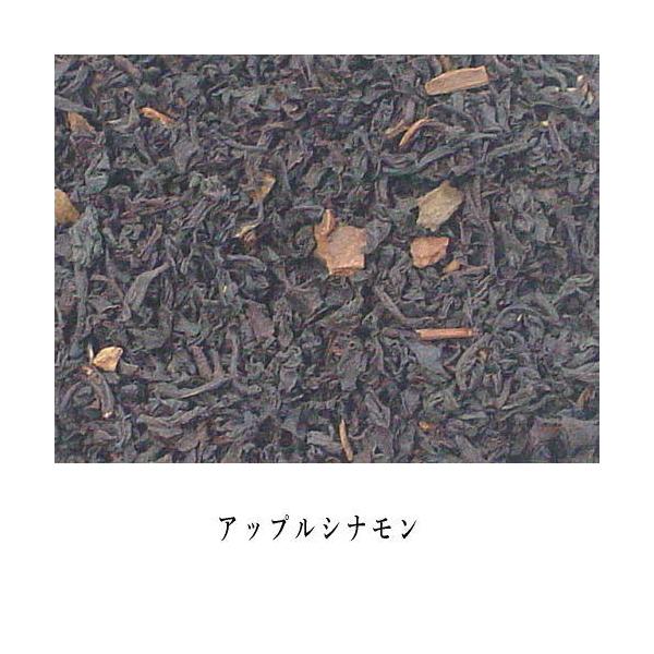アップルの香りをつけた紅茶に更にシナモンのフレーバーを加えた王道のフレーバー紅茶です。ストレートでもミルクティーでもお楽しみいただけます。内容量：40g入り※ティーバッグ商品及び一部商品は2,500円以上購入でクロネコゆうパケット送料無料！...