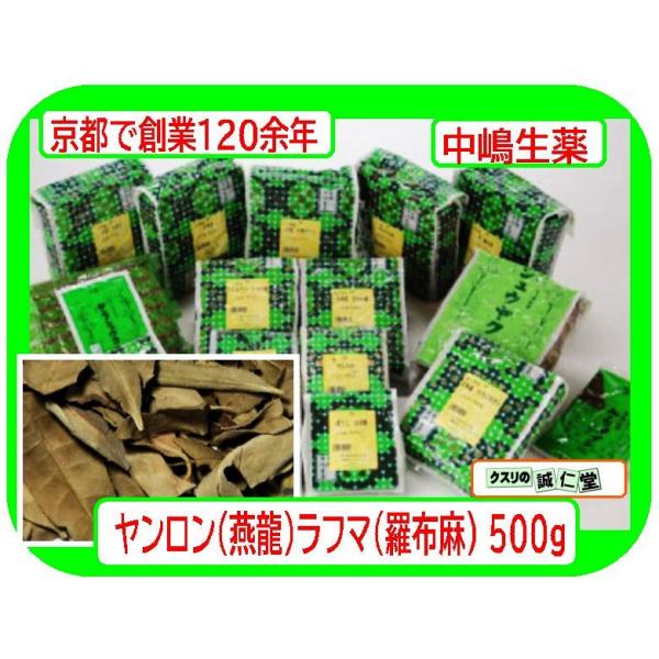 ヤンロン茶 燕龍茶 ラフマ茶 羅布麻葉 500g 中嶋生薬ラフマ（羅布麻、Apocynum venetum）は、中国北部・西部原産のキョウチクトウ科の多年草。葉を薬草あるいは飲用（羅布麻茶）に用いる。ロプノール（羅布泊）周辺に多く、昔は繊維...