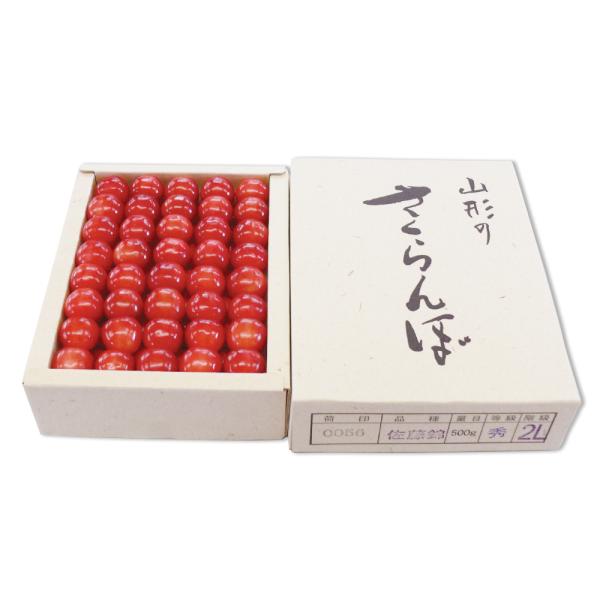 【発売日：2026年06月01日】