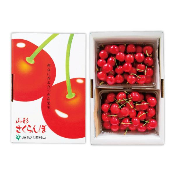 【発売日：2026年06月01日】