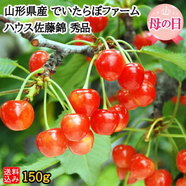 【発売日：2024年07月04日】