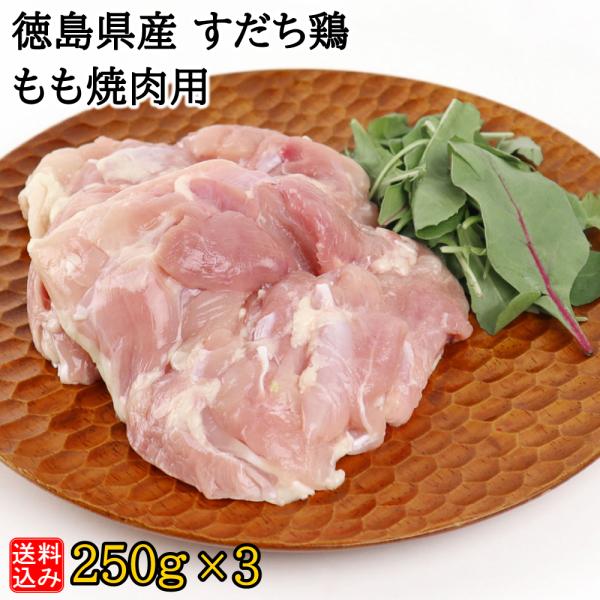 【発売日：2024年07月04日】