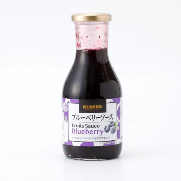【発売日：2026年03月05日】ブルーベリーの果肉がたっぷり入った香り豊かなブルーベリーソース