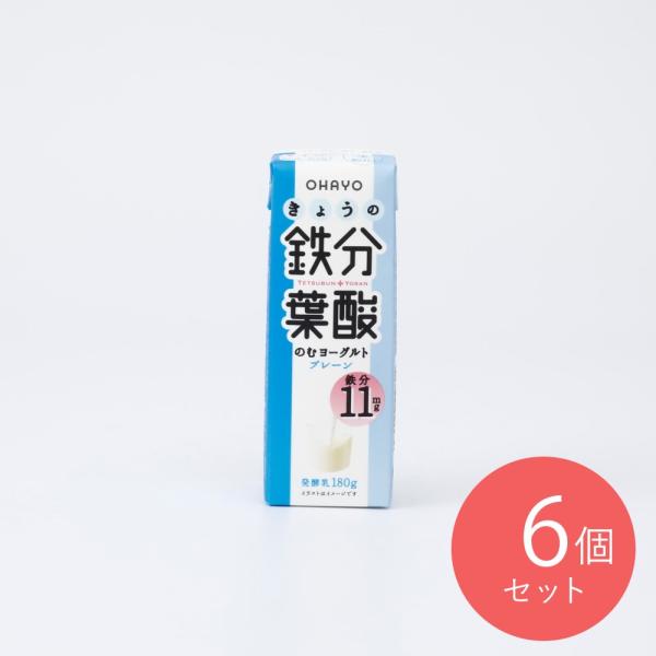【発売日：2026年06月15日】１本で１日分の鉄分、葉酸、ビタミンＢ１２を摂ることができます。飲みやすいプレーン味。