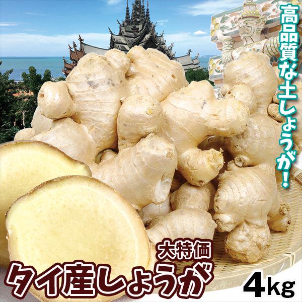 ●商品情報：国産と遜色ないほど高品質で、辛味・風味が強いタイ産の土しょうが！●産地：タイ●規格・サイズ：-●入数の目安：-●配送形態：段ボール箱●配送温度：常温便●備考：※商品の特性上、欠けや割れ、形状のバラつき等がございます。●送料：通常...