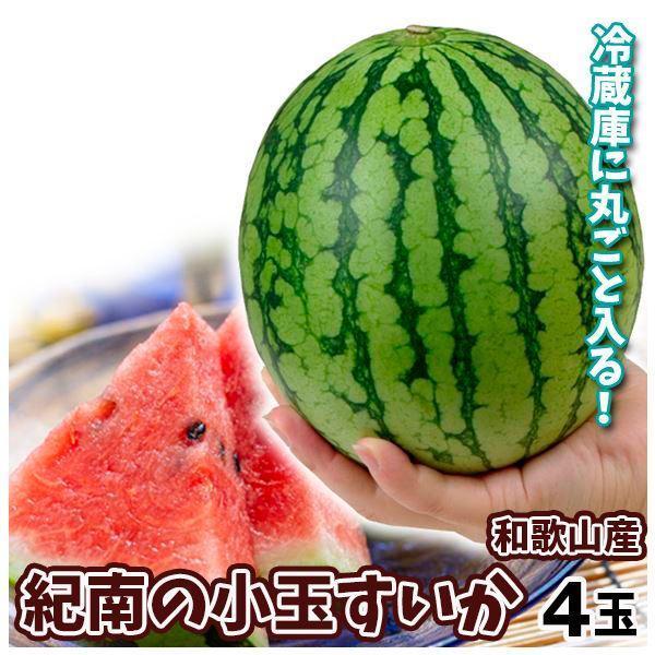 ●商品情報：冷蔵庫に丸ごと入る！皮が薄く、皮際まで果肉がぎっしり詰まって、小玉でも食べ応え抜群！●産地：和歌山県●規格・サイズ：4玉あたり約4〜5kg●入数の目安：-●配送形態：段ボール箱●配送温度：常温便●備考：※ご家庭用としてご用意いた...