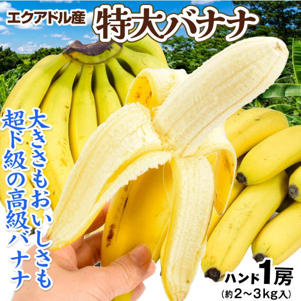 ●商品情報　１度食べると他のバナナでは物足りなくなる！世界最大のバナナ輸出国・南米エクアドルの、昼夜の寒暖差が大きな高原地域で栽培された、もっちりコク旨バナナを、切り分ける前の超大房（ハンド）でお届け。●産地　エクアドル●規格・サイズ　1房...