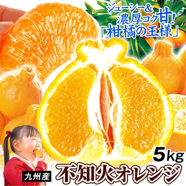 ●商品情報：頭がポコンと盛り上がった独特の形が特徴で、濃厚な甘味と酸味が絶妙！見た目に反して皮は剥きやすく、甘〜い果汁と芳香がたっぷり溢れます。九州の大自然が育む、濃厚な味わいの高級柑橘を、ご家庭用に大奉仕！●産地：九州●規格・サイズ：無選...