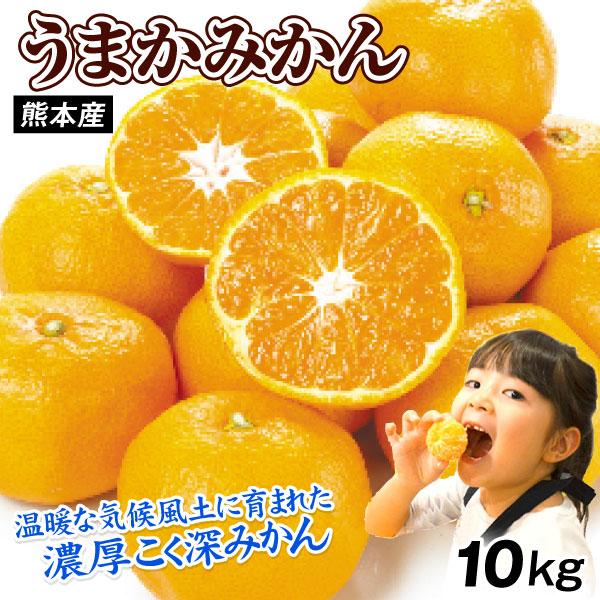 ●商品情報：熊本県は九州第一位のみかん名産地！有明海に面した日当たりの良い傾斜地一面にみかん畑が広がり、天草や不知火、天水、河内など数々の有名産地を擁します。温暖な熊本の風土に育まれて、濃厚でコク深く美味しい熊本みかんが育ちます。●産地：熊...
