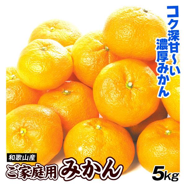 ●商品情報：甘くて旨味がギュッと凝縮した温州みかん。海に近い山の斜面で、温かい潮風と強い日光を受けて育った「和歌山みかん」です。甘くて旨味がギュッと凝縮したみかんらしい美味しさをお届けします。●産地：和歌山県●規格・サイズ：無選別●入数の目...