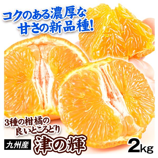 ●商品情報：『(清見×興津早生)×アンコール』から生まれた新品種！プリッとした食感と濃い甘さが絶品です。●産地：九州●規格・サイズ：無選別 ※サイズ混合●入数の目安：-●配送形態：段ボール箱●配送温度：常温便●備考：【産地指定不可】※ご家庭...