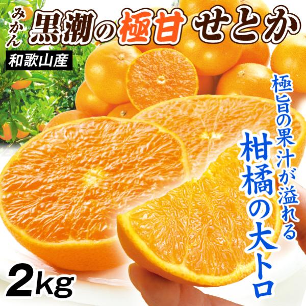 ●商品情報：話題の高級柑橘「せとか」を、柑橘名産地の紀南地方より。別名「柑橘の大トロ」と呼ばれるほどたっぷりの極旨果汁と、皮の薄さが特徴です。●産地：和歌山県●規格・サイズ：無選別●入数の目安：-●配送形態：-●配送温度：常温便●備考：※ご...