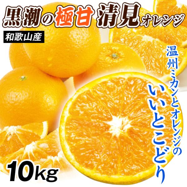 ●商品情報：果肉は種が少なく柔らかい！甘味・酸味のバランスが絶妙で、温州みかんの味とオレンジの香りの良い所取り柑橘！●産地：和歌山県●規格・サイズ：無選別●入数の目安：-●配送形態：段ボール箱●配送温度：常温便●備考：※ご家庭用としてご用意...