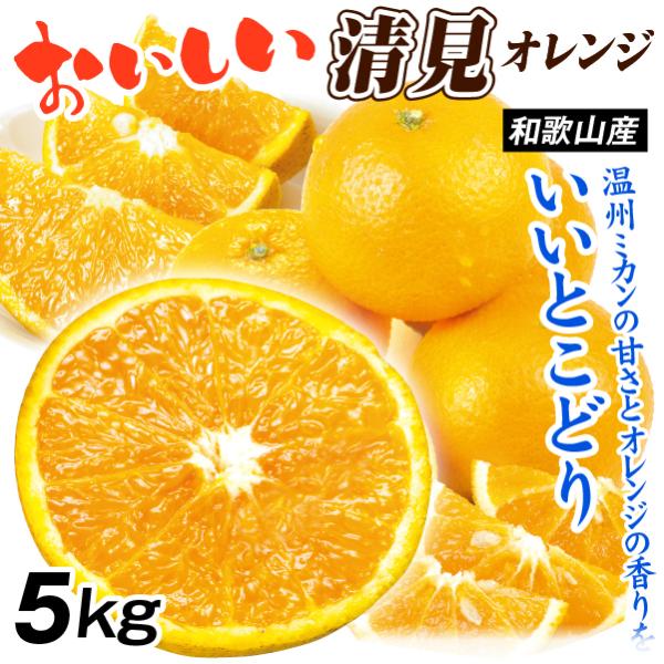 ●商品情報：果肉は種が少なく柔らかい！甘味・酸味のバランスが絶妙で、温州みかんの味とオレンジの香りの良い所取り柑橘！●産地：和歌山県●規格・サイズ：無選別●入数の目安：-●配送形態：段ボール箱●配送温度：常温便●備考：※ご家庭用としてご用意...