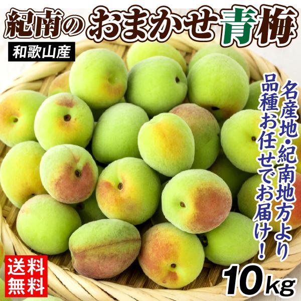 ●商品情報：名産地・和歌山県より。古城梅や南高梅など、高品質な梅を１種類選んでご用意いたします。●産地：和歌山県●規格・サイズ：-●入数の目安：-●配送形態：段ボール箱●配送温度：冷蔵便●備考：【品種・サイズ指定不可】※ご家庭用としてご用意...