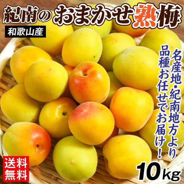 ●商品情報：名産地・和歌山県より。古城梅や南高梅など、高品質な梅を１種類選んでご用意いたします。●産地：和歌山県●規格・サイズ：-●入数の目安：-●配送形態：段ボール箱●配送温度：冷蔵便●備考：【品種・サイズ指定不可】※ご家庭用としてご用意...