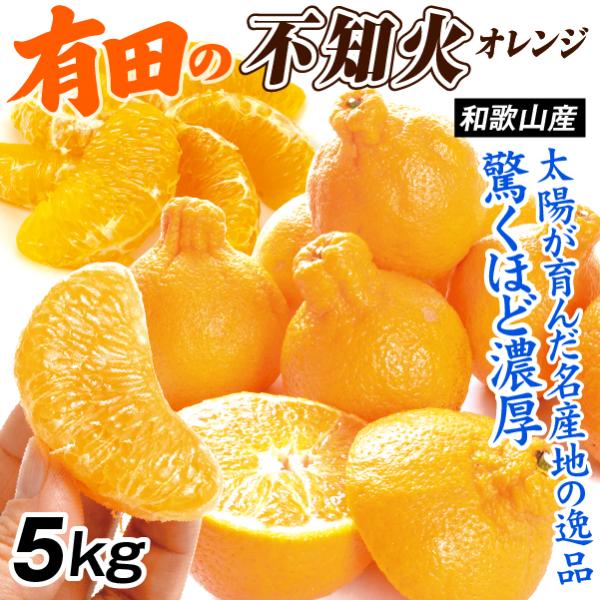 ●商品情報：清見とポンカンの血をひく『不知火(しらぬい)オレンジ』は、頭がポコンと盛り上がった独特の形と、コクと甘みたっぷりの濃厚な味わいが特徴の高級柑橘です。手で簡単にむいて食べることができるのも人気！●産地：和歌山県●規格・サイズ：無選...