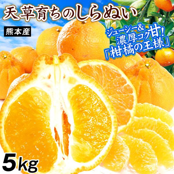 ●商品情報：清見とポンカンの血をひく『不知火(しらぬい)オレンジ』は、頭がポコンと盛り上がった独特の形と、コクと甘みたっぷりの濃厚な味わいが特徴の高級柑橘です。手で簡単にむいて食べることができるのも人気！●産地：熊本県●規格・サイズ：無選別...