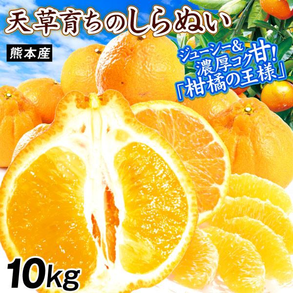 ●商品情報：清見とポンカンの血をひく『不知火(しらぬい)オレンジ』は、頭がポコンと盛り上がった独特の形と、コクと甘みたっぷりの濃厚な味わいが特徴の高級柑橘です。手で簡単にむいて食べることができるのも人気！●産地：熊本県●規格・サイズ：無選別...