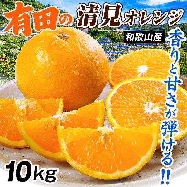 ●商品情報：果肉は種が少なく柔らかい！甘味・酸味のバランスが絶妙で、温州みかんの味とオレンジの香りの良い所取り柑橘！●産地：和歌山県●規格・サイズ：無選別●入数の目安：-●配送形態：段ボール箱●配送温度：常温便●備考：※ご家庭用としてご用意...