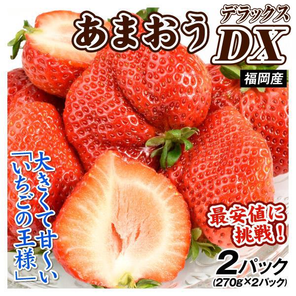 ●商品情報：大きくて甘〜い真っ赤ないちごの王様！「あまおう」は福岡生まれの品種。大きな果実にかぶりつくと、あま〜い果汁が溢れ出し、ほど良い酸味と甘味のバランスが良く、濃厚な味わい。一度食べたら忘れられない美味しさです！DXとは、形はやや不揃...
