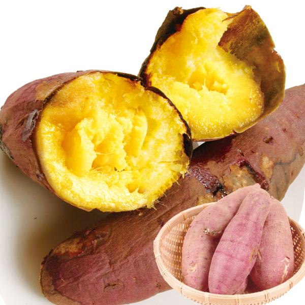 ●商品情報：焼き芋にすると、とろ〜り甘い蜜があふれ、しっとりとした舌触りで近年大人気の極甘さつまいも・紅はるか。九州の温暖な気候と肥沃な大地で育てられた美味さつまいもを、お買得特価で！●産地：九州●規格・サイズ：無選別●入数の目安：-●配送...