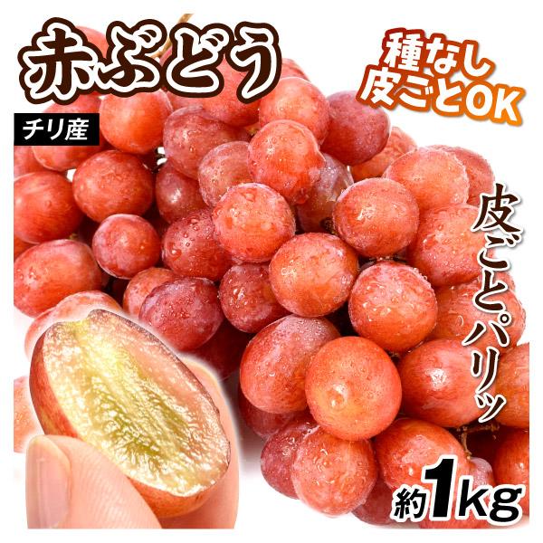 ●商品情報　おやつ感覚で気軽に食べやすい！皮ごとパリッと弾ける海外赤ぶどう！●産地　チリ産●規格・サイズ　-●入数の目安　約1kg●配送形態　段ボール箱●配送温度　常温便●備考　【品種指定不可】※ご家庭用としてご用意致します。多少の傷・スレ...