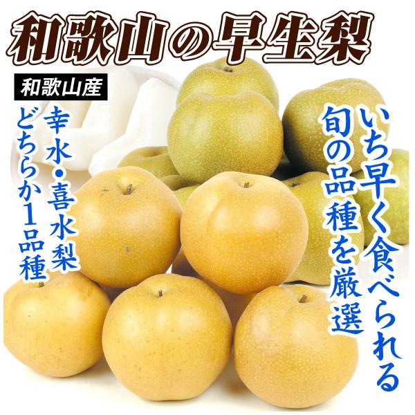 ●商品情報：●産地：和歌山県●規格・サイズ：-●入数の目安：-●配送形態：段ボール箱●配送温度：常温便●備考：●送料：通常配送：送料無料北海道・沖縄：1箱（組）ごとに1500円