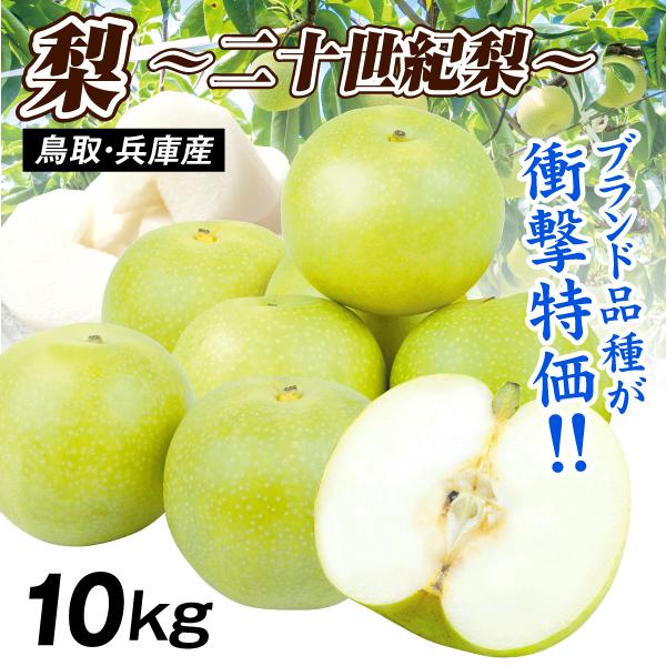 ●商品情報　青梨らしい軽やかな甘味と、酸味が絶妙に溶けあった爽やかな味わい！キレの良い食感がたまらない、゛青梨の王様゛二十世紀梨を特別価格で！●産地　長野県●規格・サイズ　-●入数の目安　5kg（16〜36玉）●配送形態　段ボール箱●配送温...