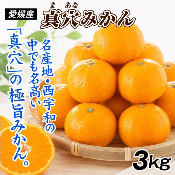 ●商品情報：名産地・愛媛県西宇和の中でも名高い真穴地区は、全国初のみかん産地として天皇杯を受賞した名産地。100年以上受け継がれる栽培技術と、宇和海を望む段々畑で、「太陽の光」「海からの反射光」「石垣からの照り返し」という"3つの太陽"の恵...
