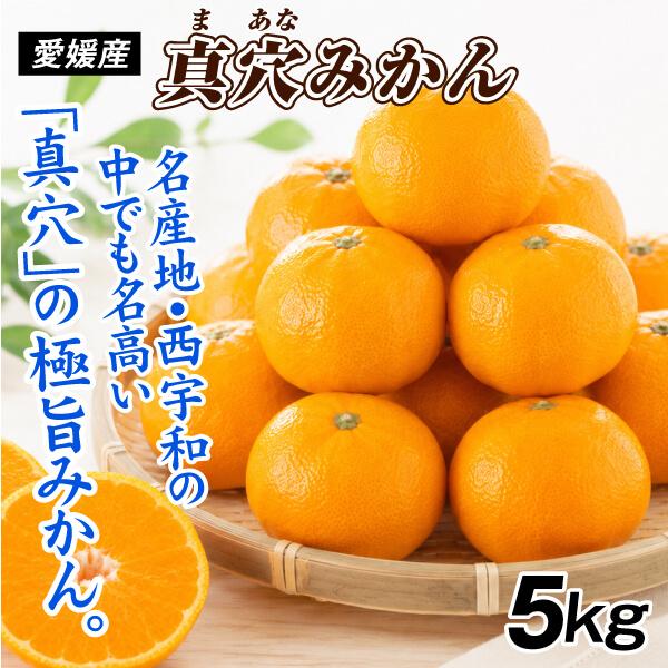 ●商品情報：名産地・愛媛県西宇和の中でも名高い真穴地区は、全国初のみかん産地として天皇杯を受賞した名産地。100年以上受け継がれる栽培技術と、宇和海を望む段々畑で、「太陽の光」「海からの反射光」「石垣からの照り返し」という"3つの太陽"の恵...