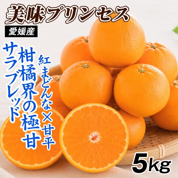 ●商品情報：愛媛が生んだ、とろける果肉と濃厚な甘さを味わう新品種「紅プリンセス」。 「紅プリンセス」は糖度や酸度など厳しい基準を満たした果実のみに使用できる商標ですが、こちらはその高級柑橘「紅プリンセス」の基準に惜しくも届かなかったものを、...