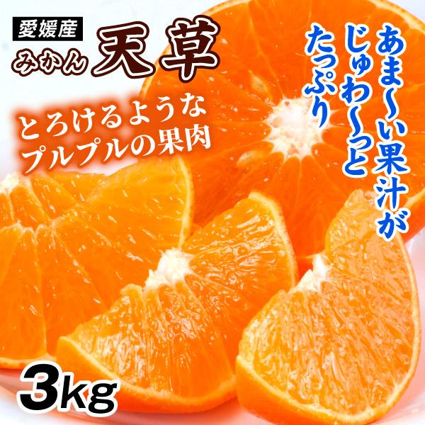 ●商品情報：「清見」と「温州みかん」から生まれた、酸味少なく濃厚な甘み・香りの、長崎生まれの柑橘。果肉が柔らかく、プルプル＆ジューシー！●産地：愛媛県●規格・サイズ：無選別●入数の目安：-●配送形態：段ボール箱●配送温度：常温便●備考：※ご...