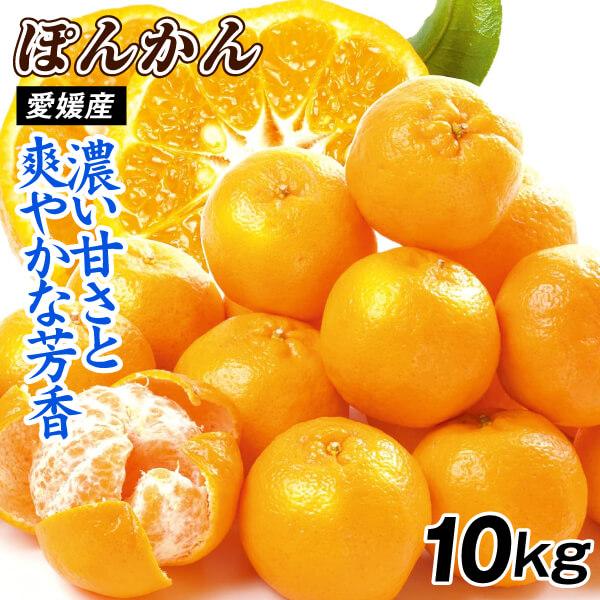 ●商品情報：東洋が誇るベストオレンジ！甘味が強いコクのある味わいと、独特の芳香が最大の特徴！●産地：愛媛県●規格・サイズ：無選別●入数の目安：-●配送形態：段ボール箱●配送温度：常温便●備考：※ご家庭用としてご用意いたします。多少の傷・変形...