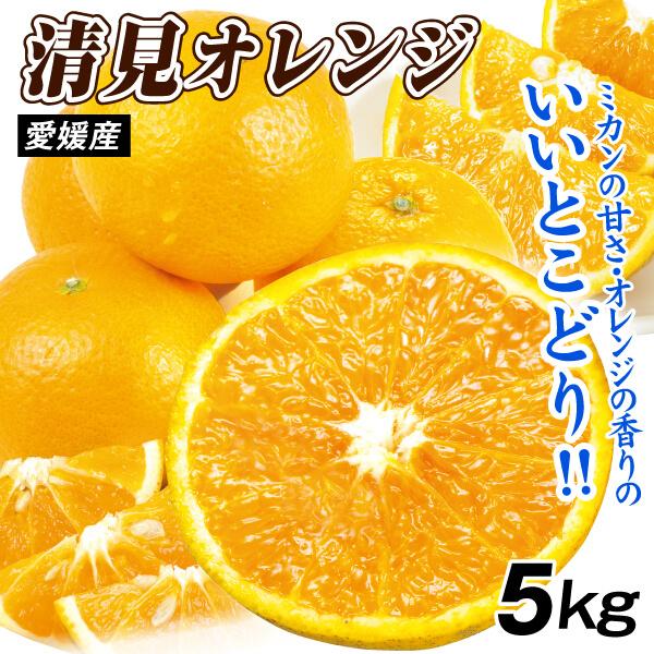 ●商品情報：みかんとオレンジの良いところがギュッと凝縮。和製オレンジと呼ばれる「清見」は、温州みかんのジューシーさと、オレンジの芳醇な甘さをあわせ持った柑橘です。果汁は濃厚＆豊富でジュース用にもおすすめ。●産地：愛媛県●規格・サイズ：無選別...