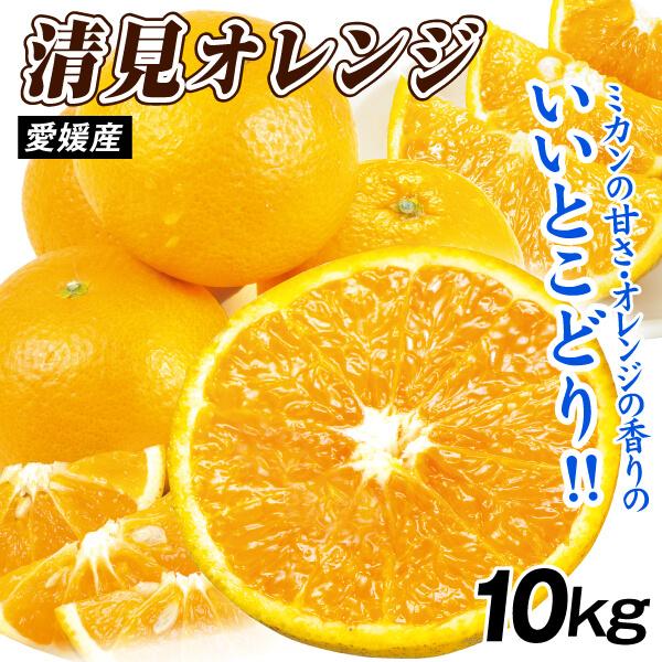 ●商品情報：みかんとオレンジの良いところがギュッと凝縮。和製オレンジと呼ばれる「清見」は、温州みかんのジューシーさと、オレンジの芳醇な甘さをあわせ持った柑橘です。果汁は濃厚＆豊富でジュース用にもおすすめ。●産地：愛媛県●規格・サイズ：無選別...